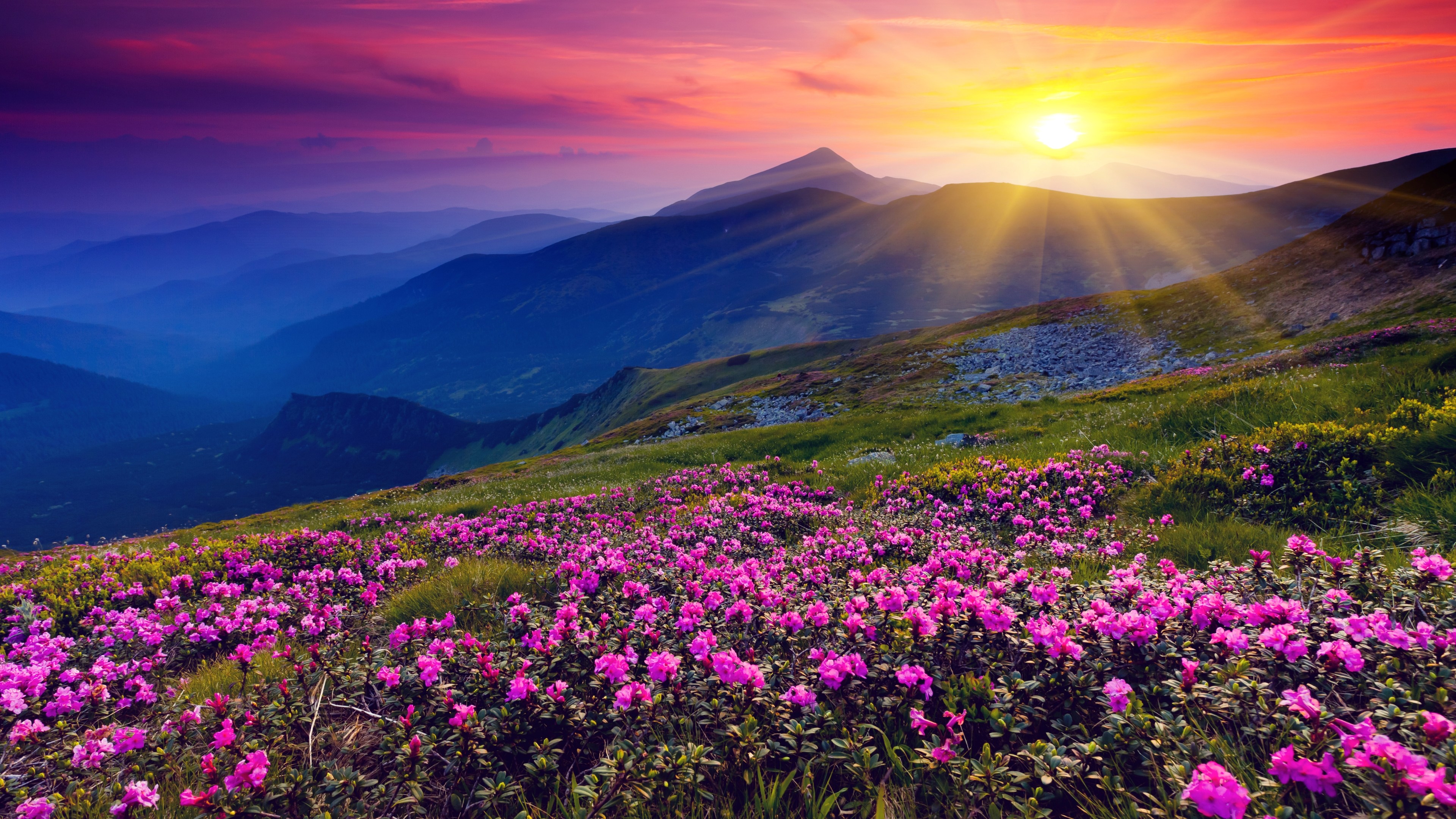 4K Ultra HD Nature Wallpaper 67 Images 4K Ultra HD Nature Wallpaper 67 Images