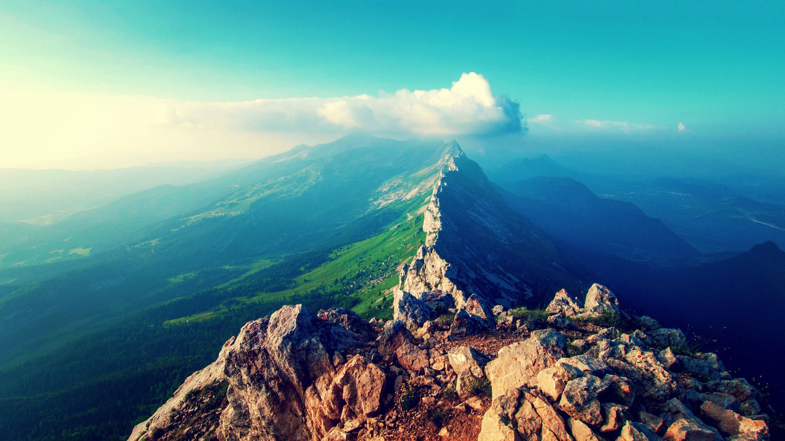 1440p Wallpaper 84 Images 1440p Wallpaper 84 Images