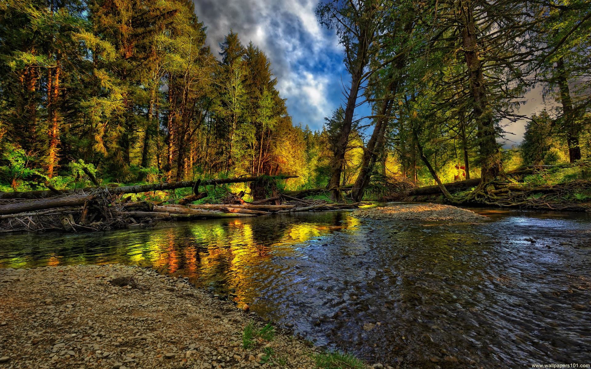 71 Laptop Background Size Picture MyWeb