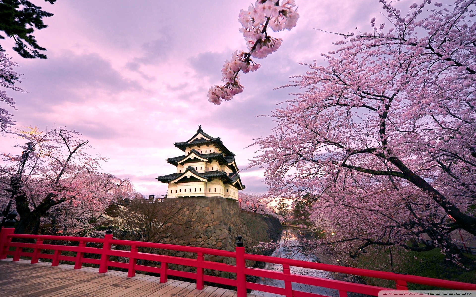 Japanese Cherry Blossom Wallpaper 71 Images 