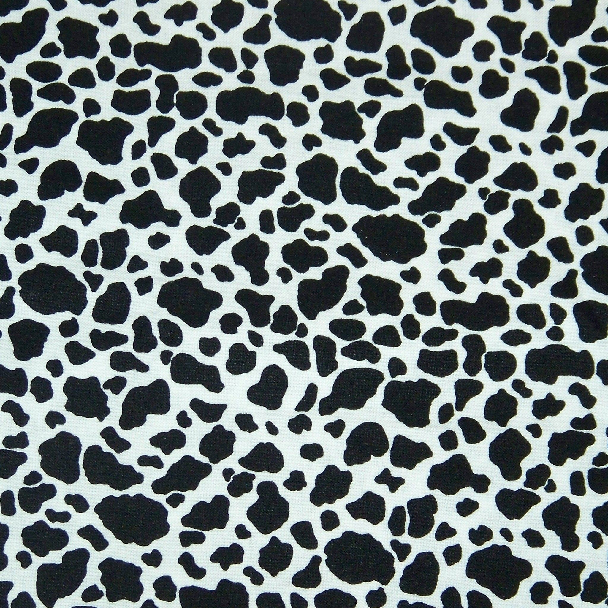 Cow Print Wallpaper Laptop Hd Download