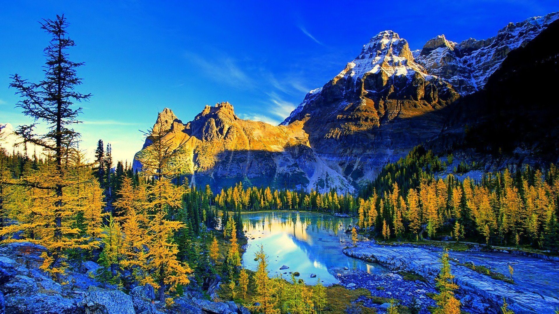 The Best 4K Wallpapers 19 Images 