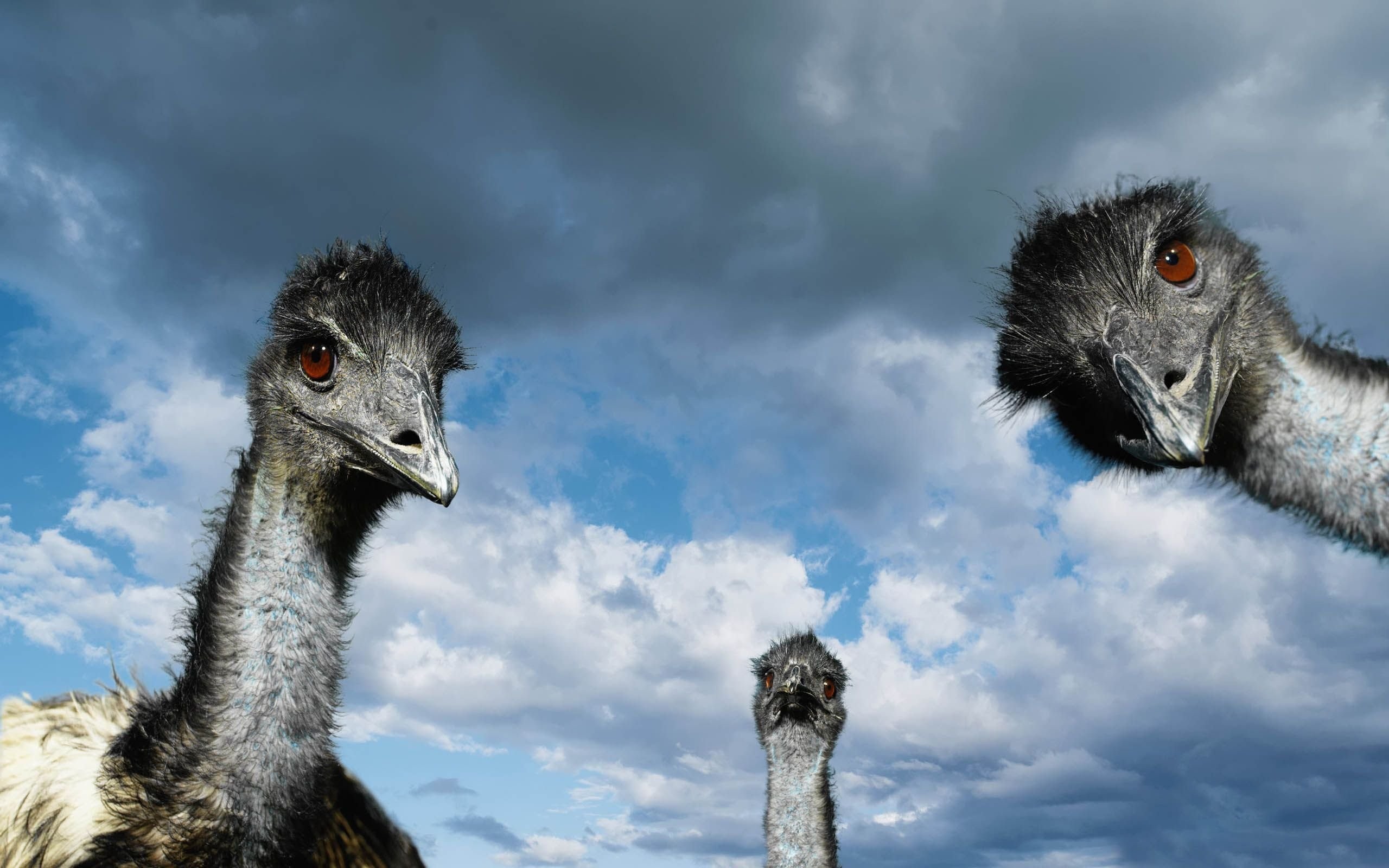 Crazy Weird Wallpapers 58 Images 