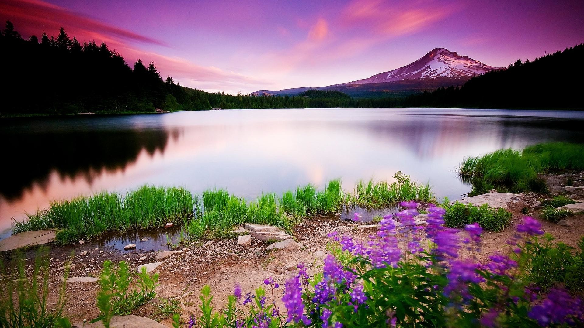 3D 1920x1080 HD Nature Wallpapers 56 Images 3D 1920x1080 HD Nature Wallpapers 56 Images