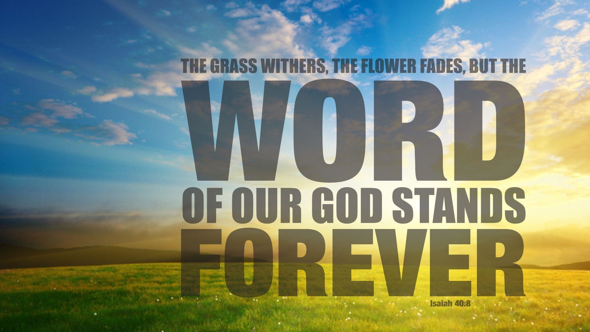 Bible Verse Wallpaper 48 Images 