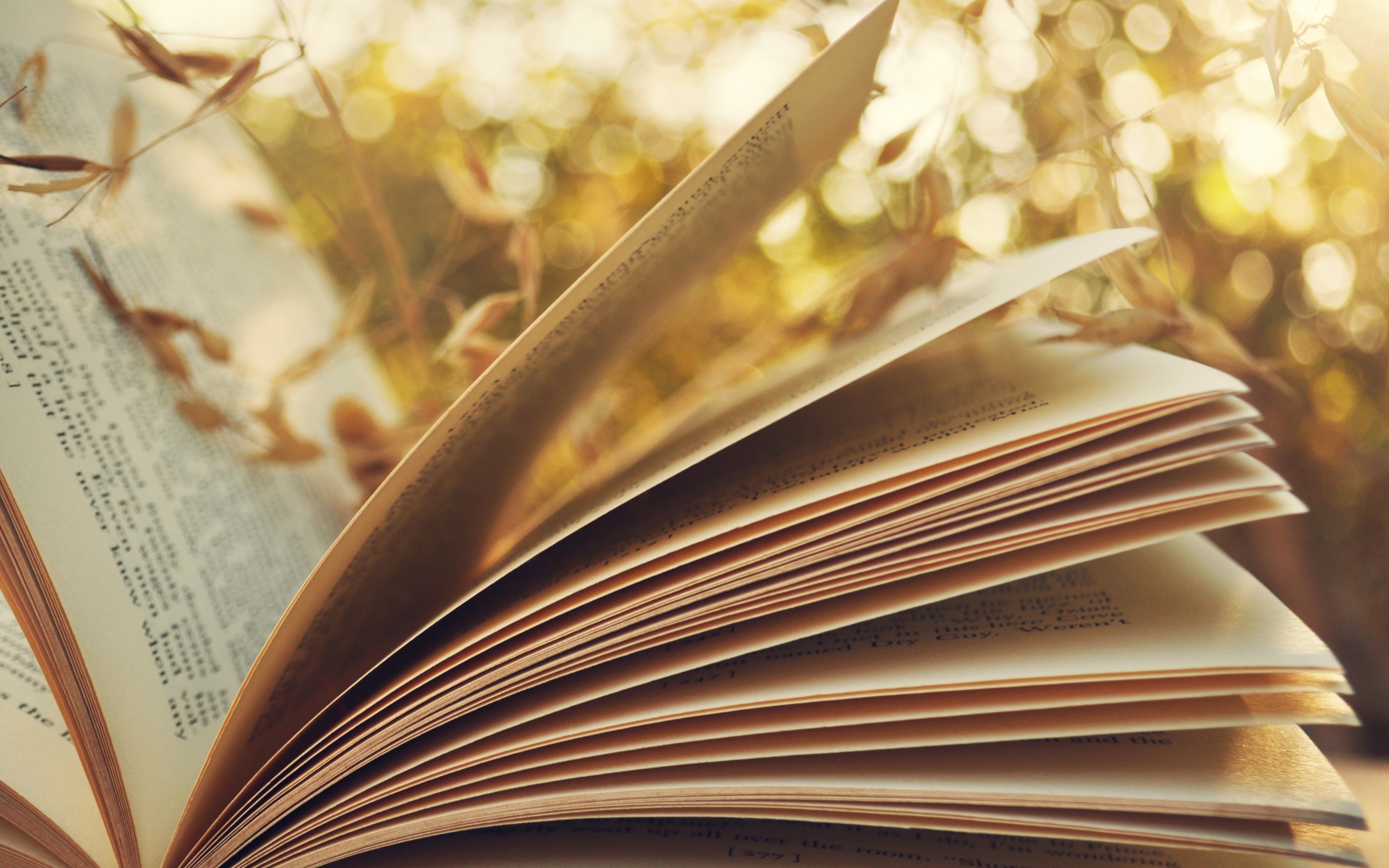 Book Wallpaper HD 61 Images 