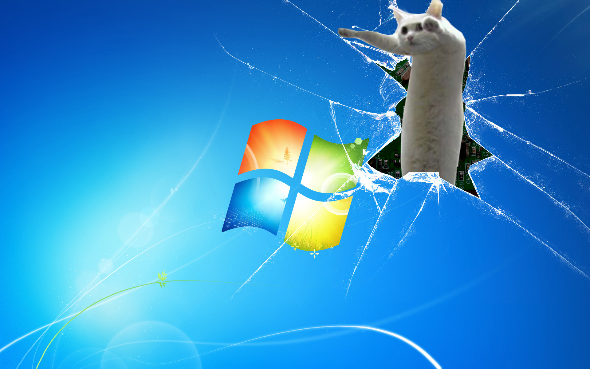 Meme Background Pictures 81 Images 