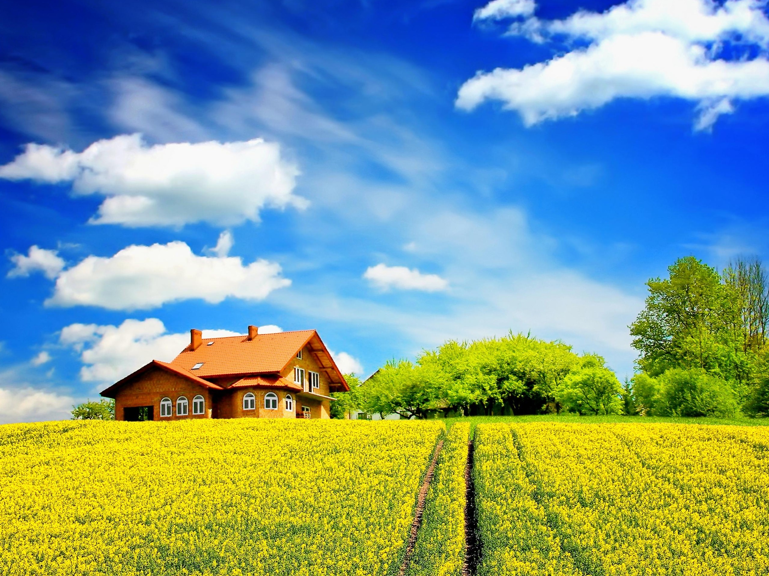 Sunny Wallpaper 60 Images 