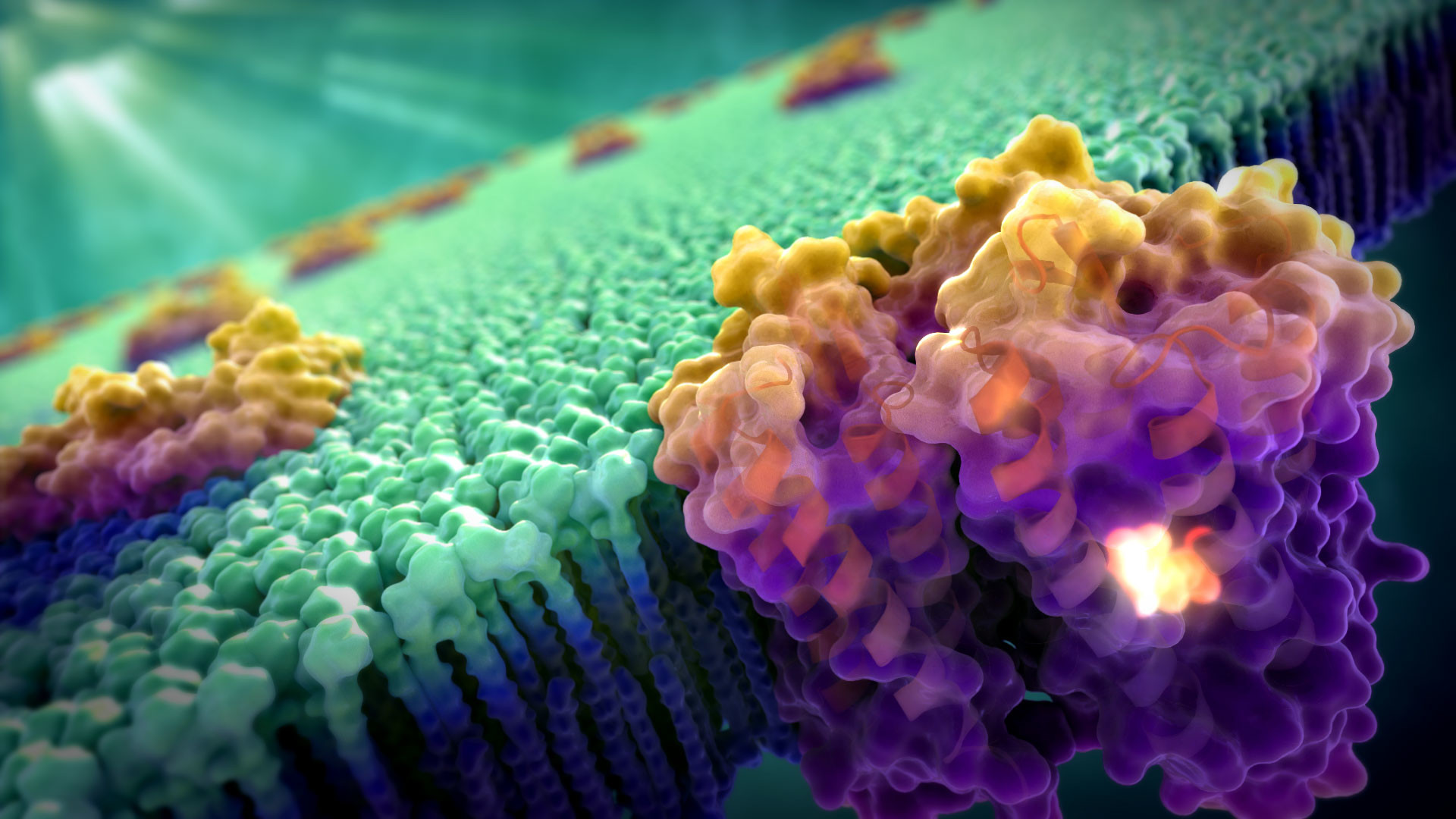 Cell Biology Wallpaper 62 Images Cell Biology Wallpaper 62 Images
